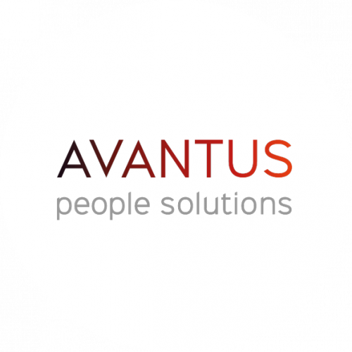 Our Businesses | Avantus Business Solutions Group